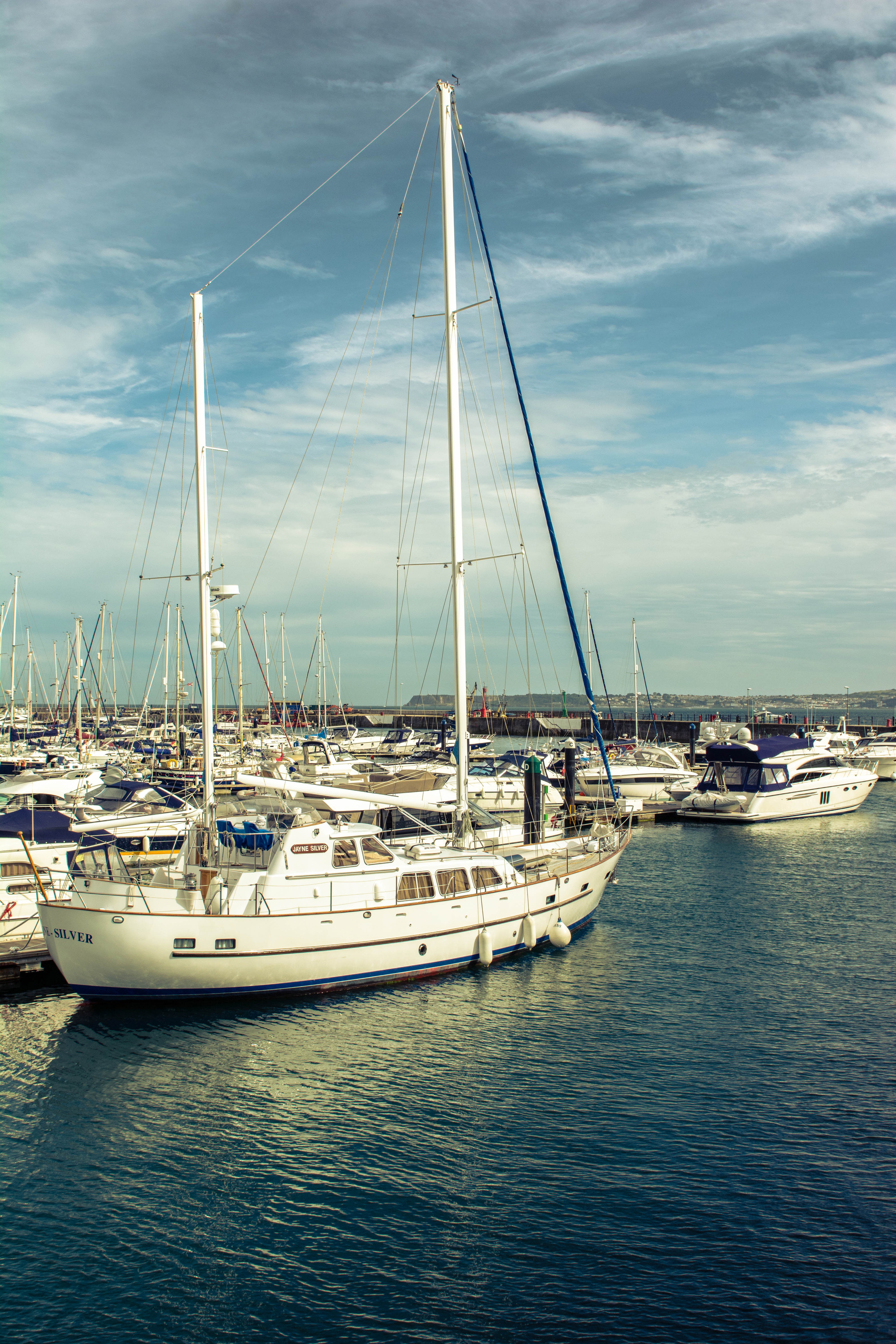 Tor Bay Harbour website - 15/26