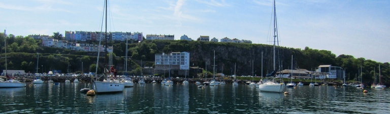 Tor Bay Harbour website - Moorings