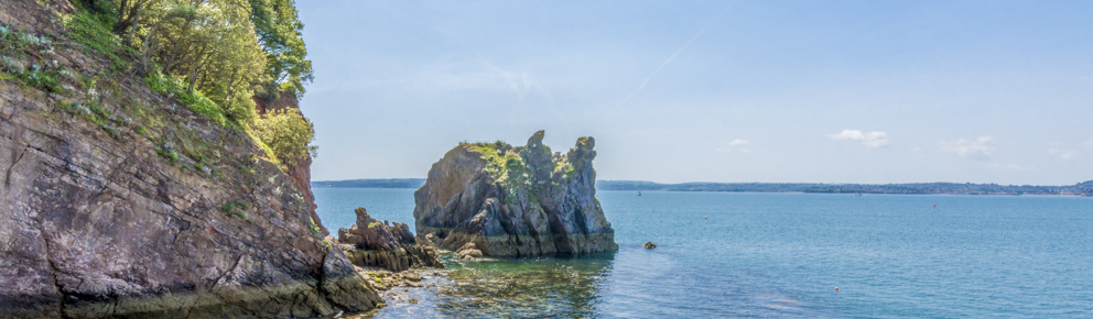 Tor Bay Harbour website - Beach awards