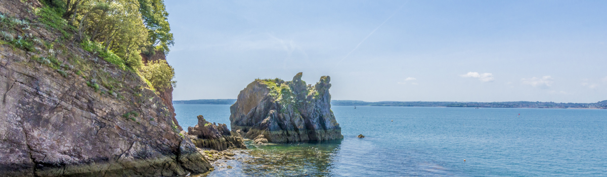 Tor Bay Harbour website - Beaches and coastline