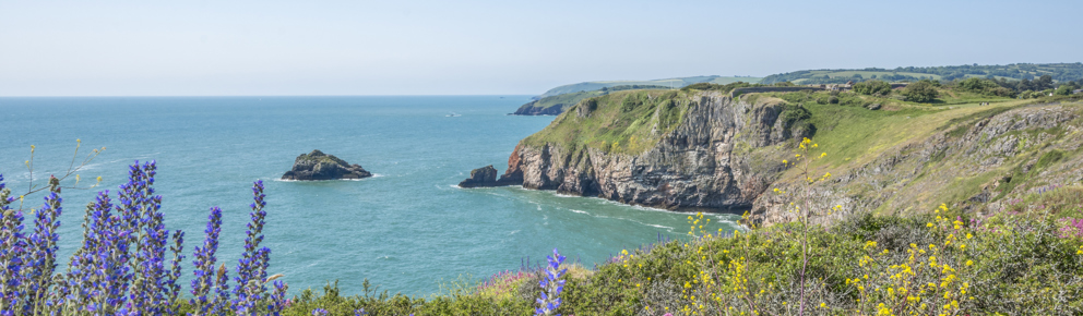 Tor Bay Harbour website - Home